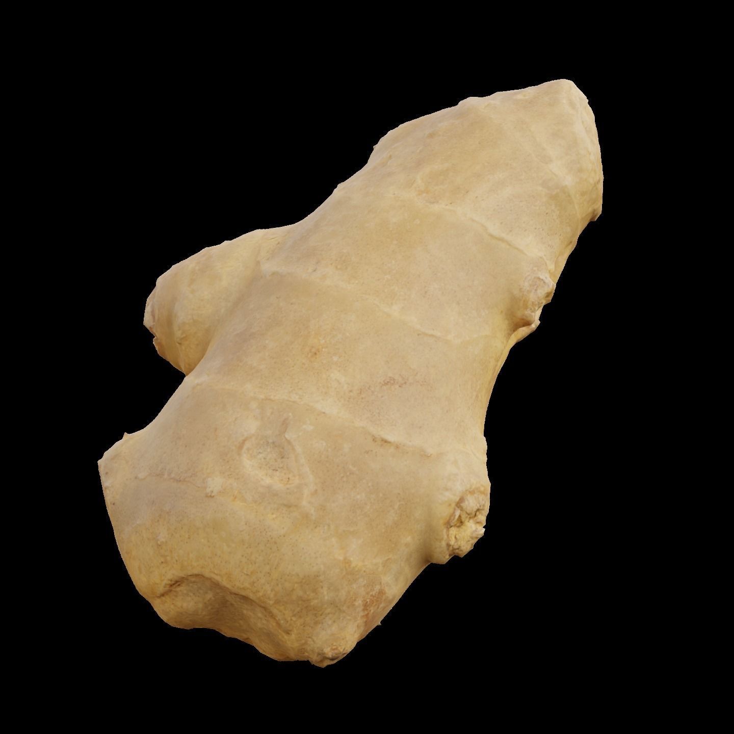 3D model Ginger 1 VR / AR / low-poly | CGTrader