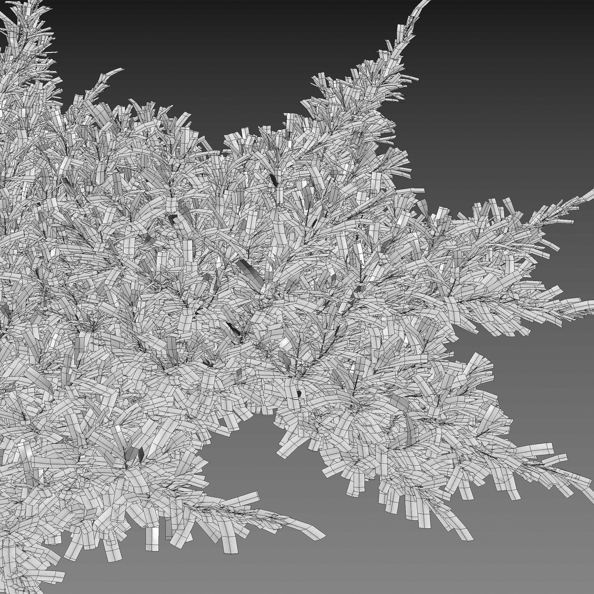 Juniperus horizontalis - Creeping Juniper 3D model | CGTrader