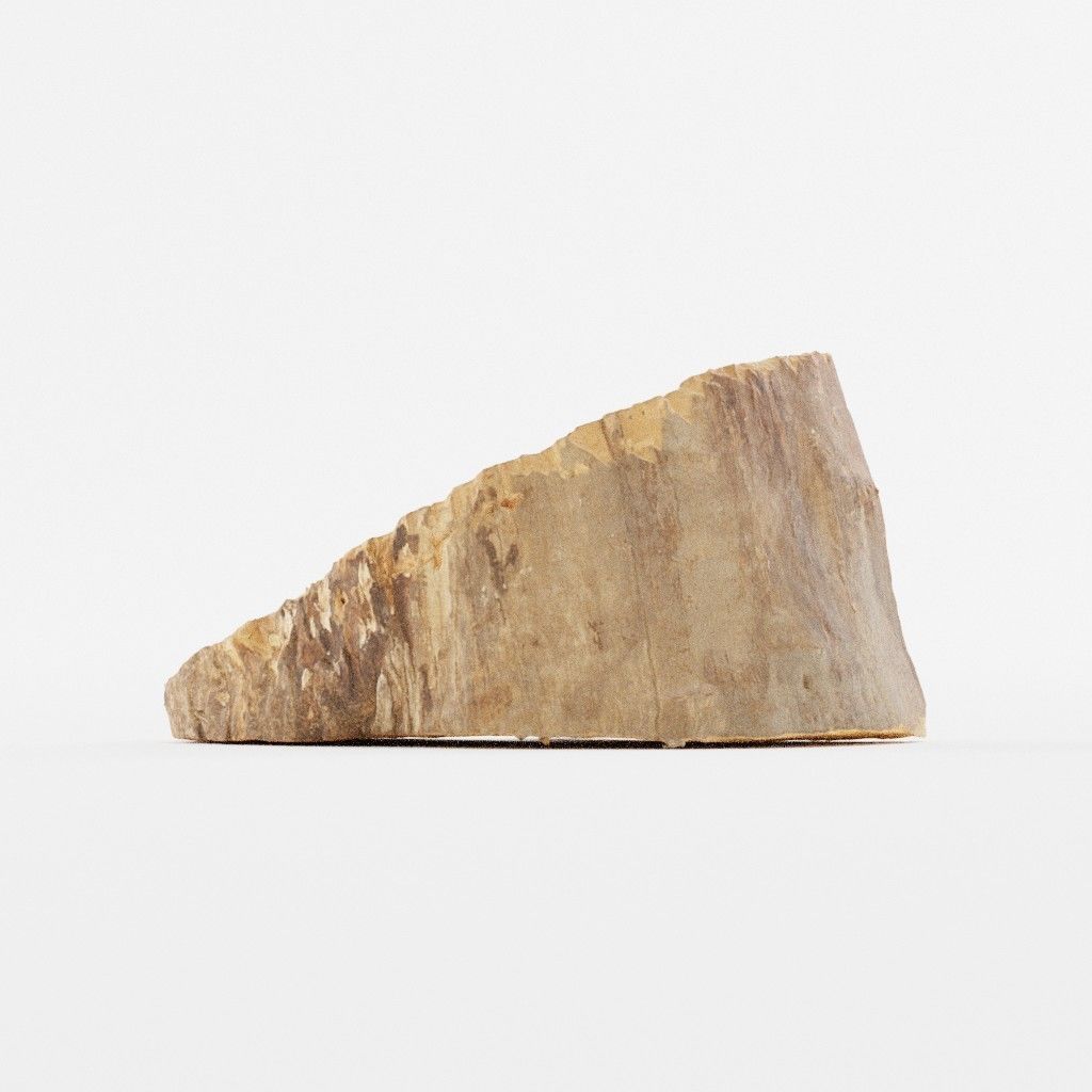 Wood Log 4 3D model | CGTrader