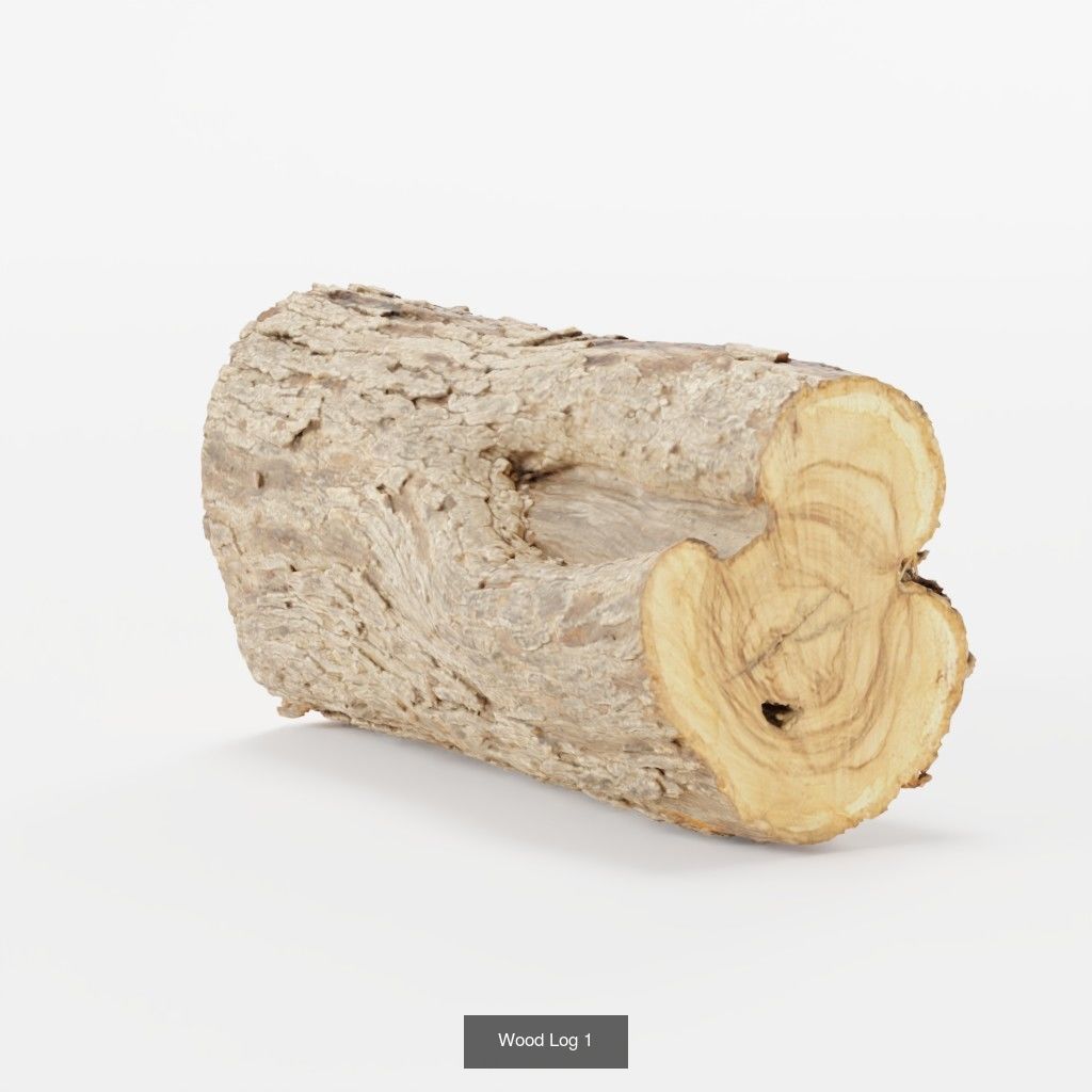 Wood Log 3D Model Collection | CGTrader