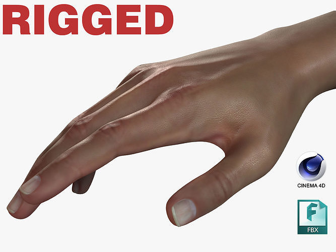 3D model Female Hand Dark Black Skin Rigged for Cinema 4D VR / AR / low ...
