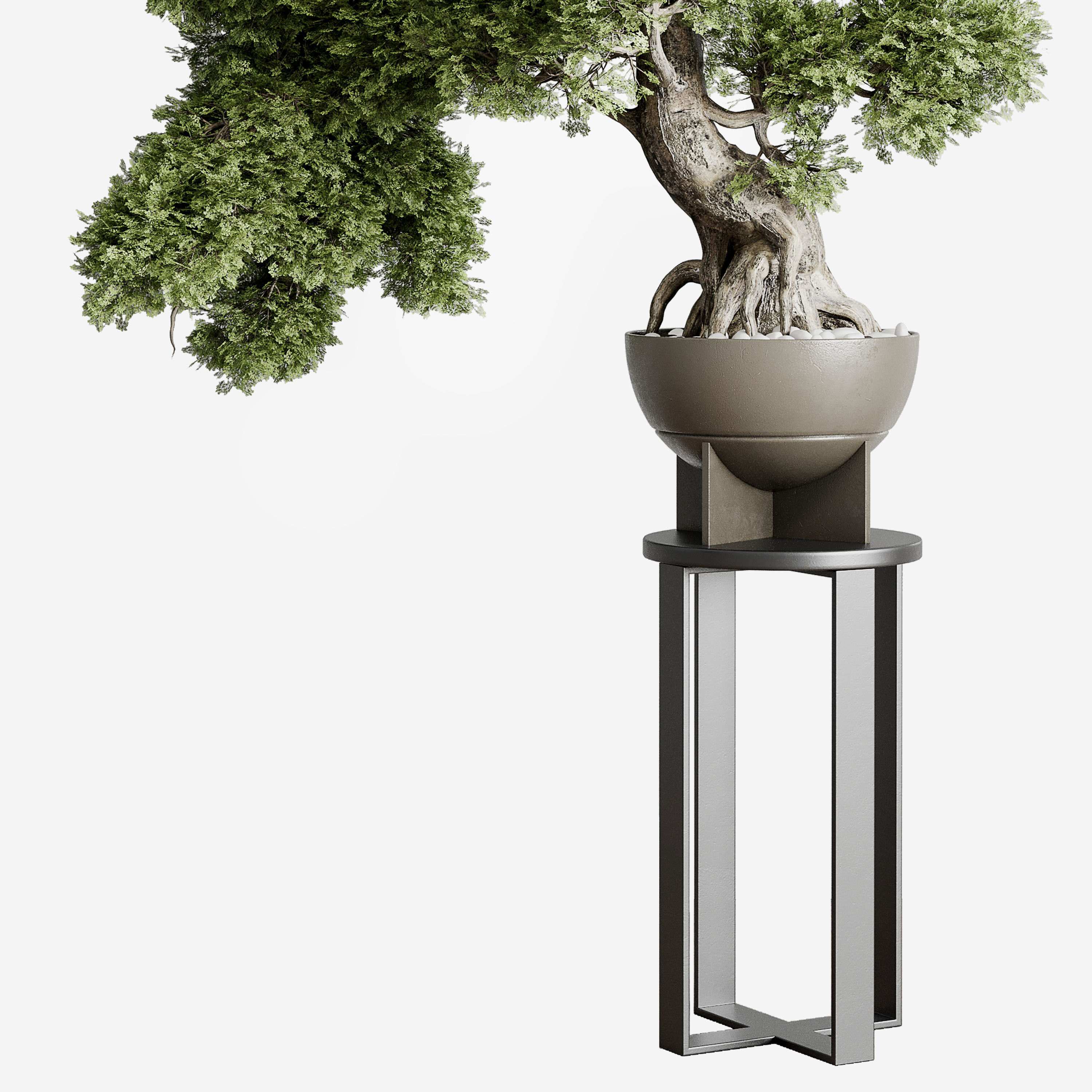 3D model Bonasi Tree in a concrete vase set indoor plant 391 VR / AR ...