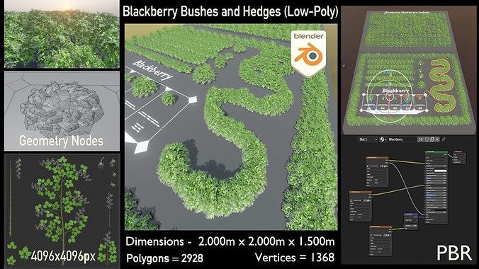 3D model Blackberry Bushes and Hedges with Geometry Nodes VR / AR / low ...
