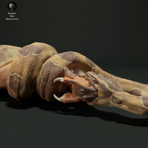 Burmese Python and Muntjac Deer 3D model 3D printable | CGTrader
