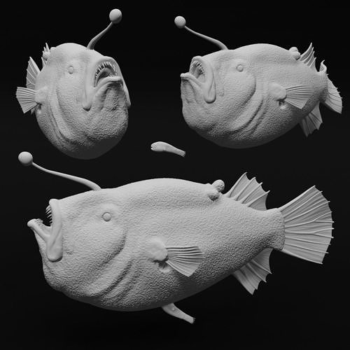 Triplewart Seadevil - Realistic Angler Fish 3d Print 3D model 3D ...