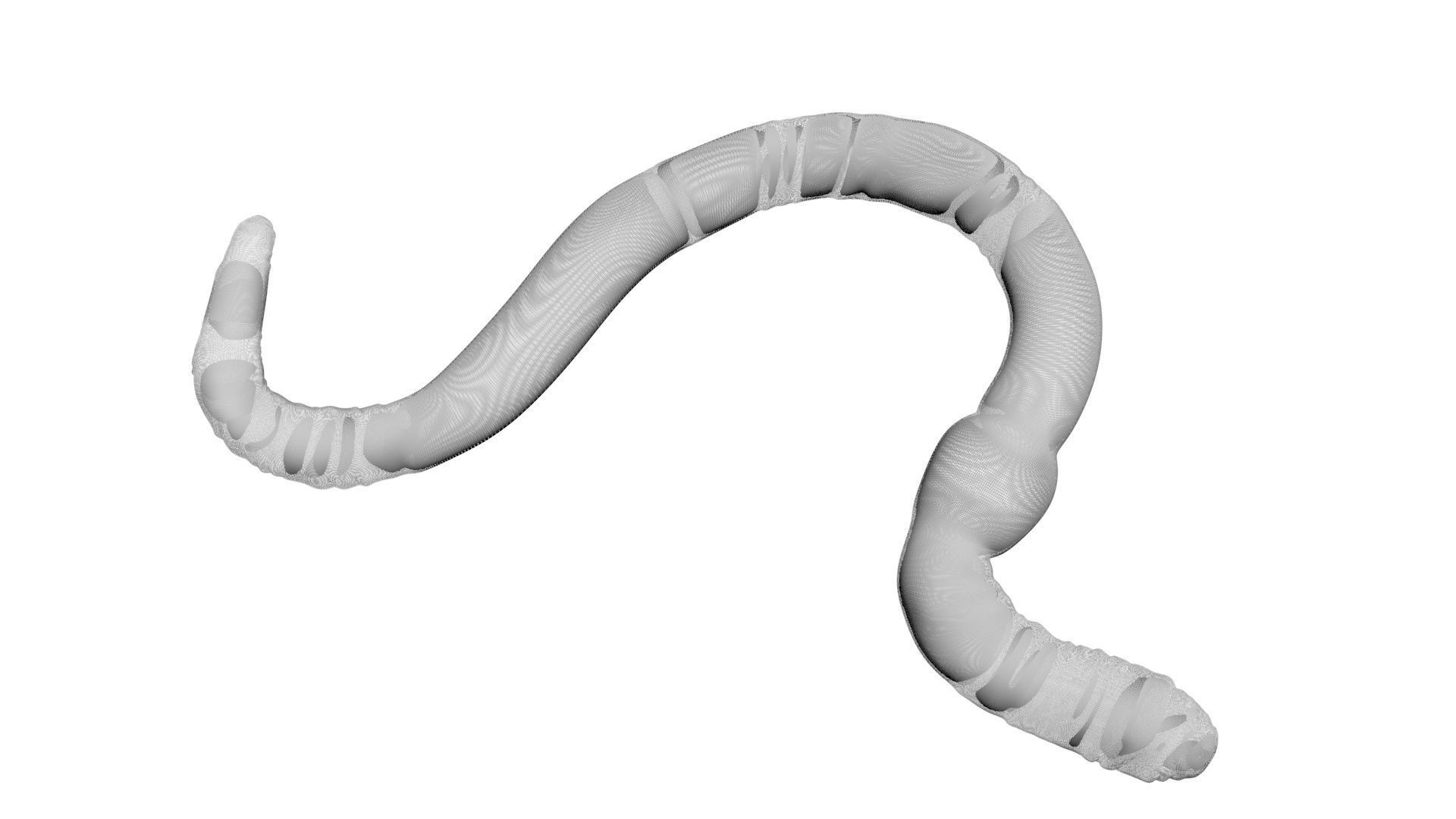 Earthworm 3D model | CGTrader
