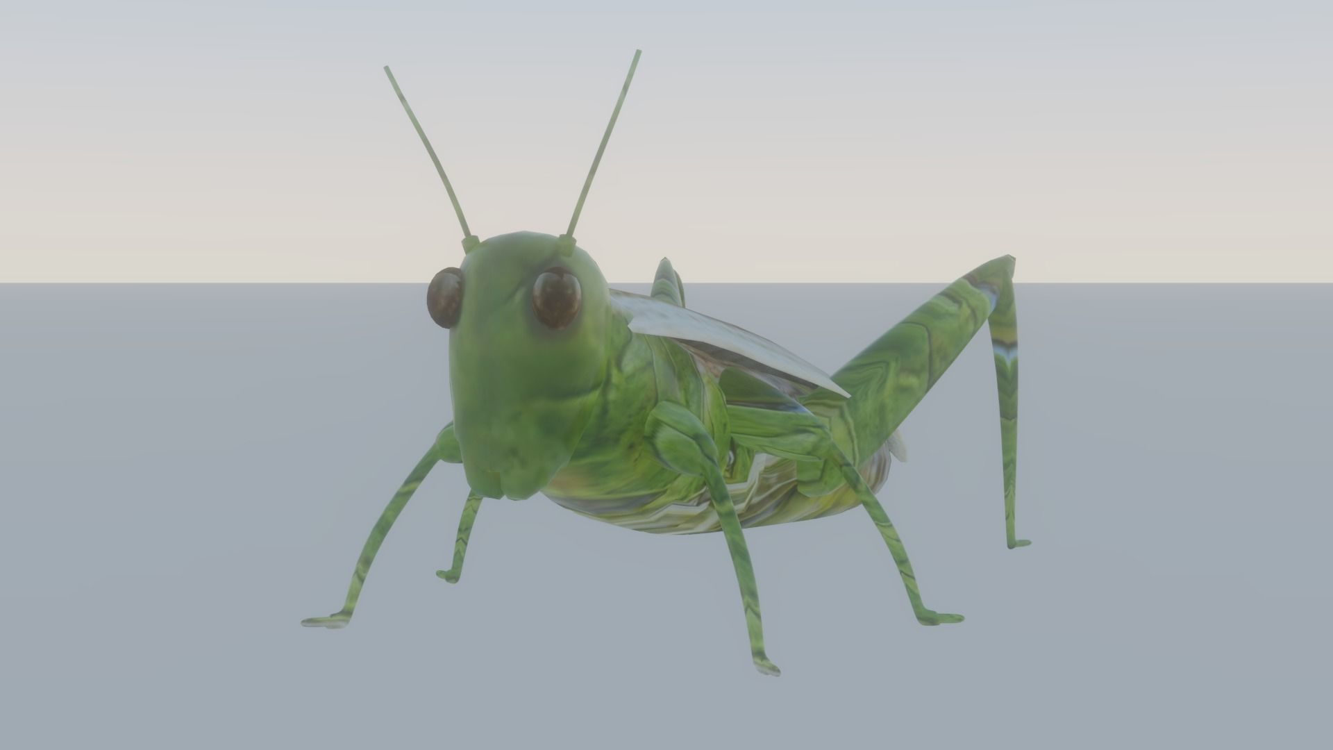 3D model grasshopper VR / AR / low-poly | CGTrader