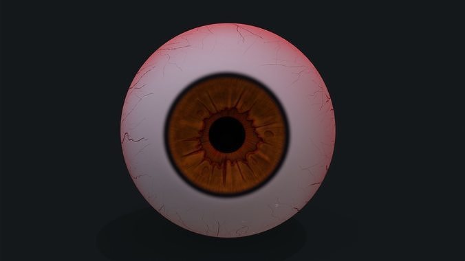 3D model Realistic eye pack 01 VR / AR / low-poly | CGTrader