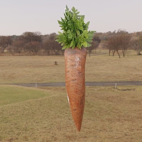 Simple Carrot 3D model | CGTrader