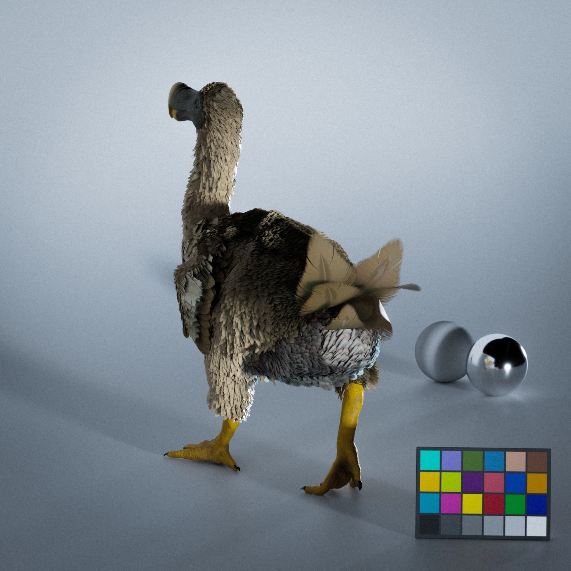 Dodo Animated 3D model animated rigged | CGTrader