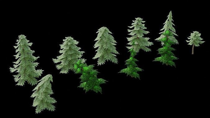 3D model 10 Stylized low poly Pine trees VR / AR / low-poly | CGTrader