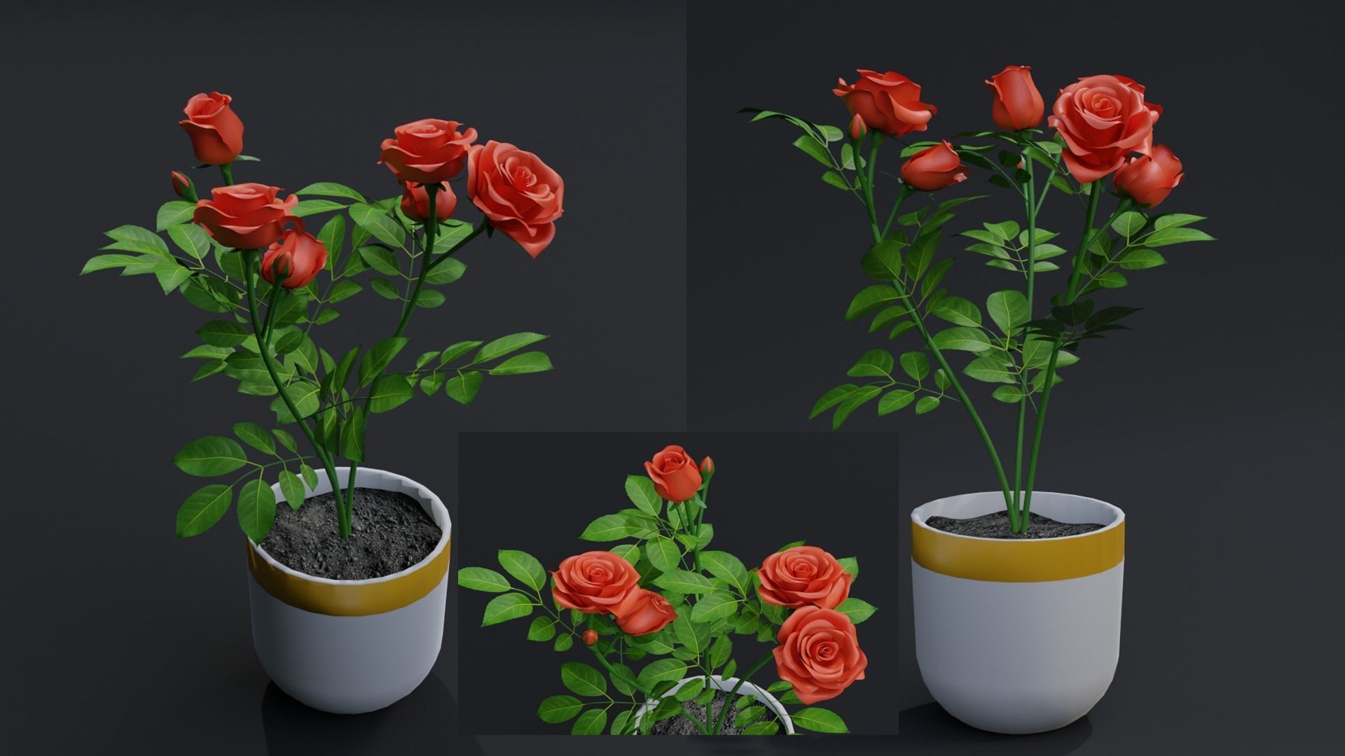 Small Rose Plant 3D model | CGTrader