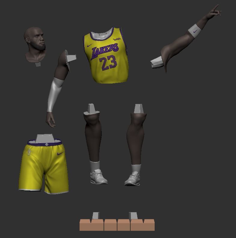 LeBron James 3D Printable 5 3D model 3D printable | CGTrader