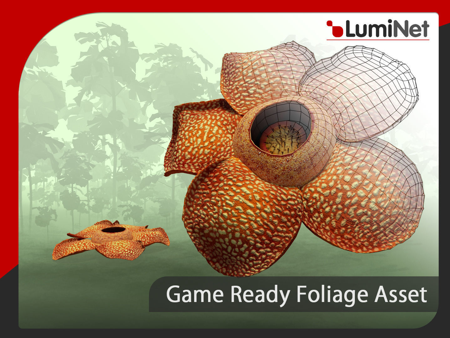 3D model Rafflesia - Grass VR / AR / low-poly | CGTrader