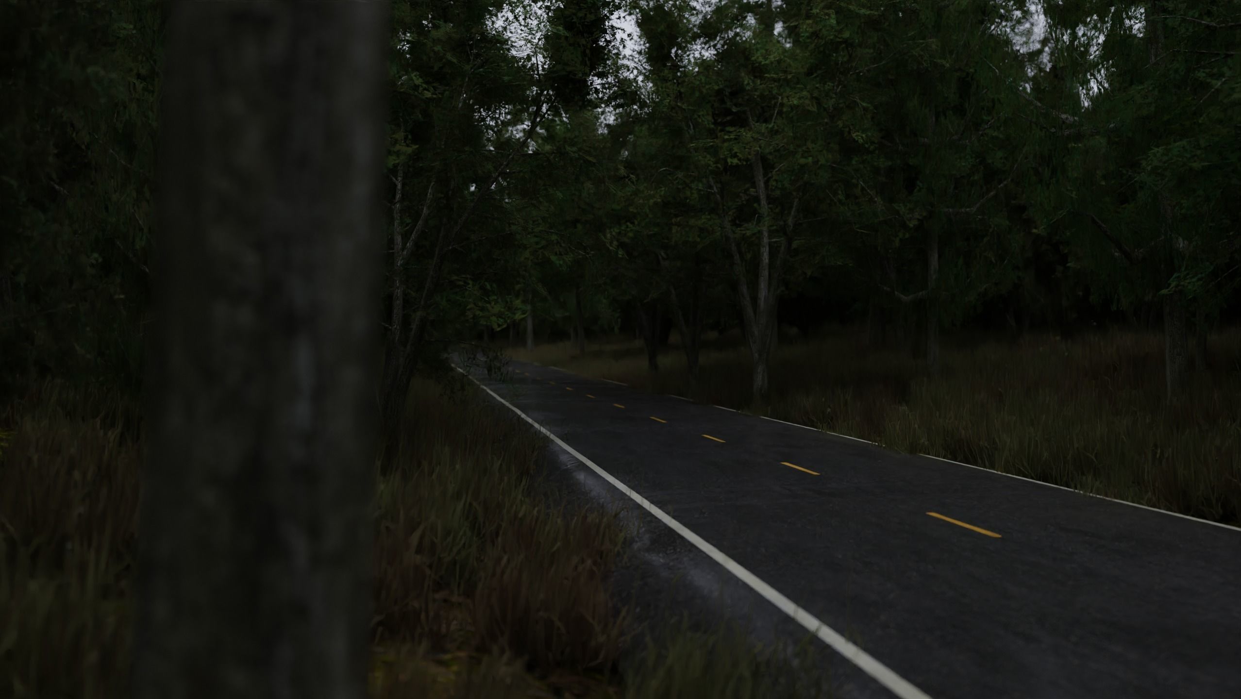 Realistic Forest Road Scene 3D Blender File Textured 3D model | CGTrader