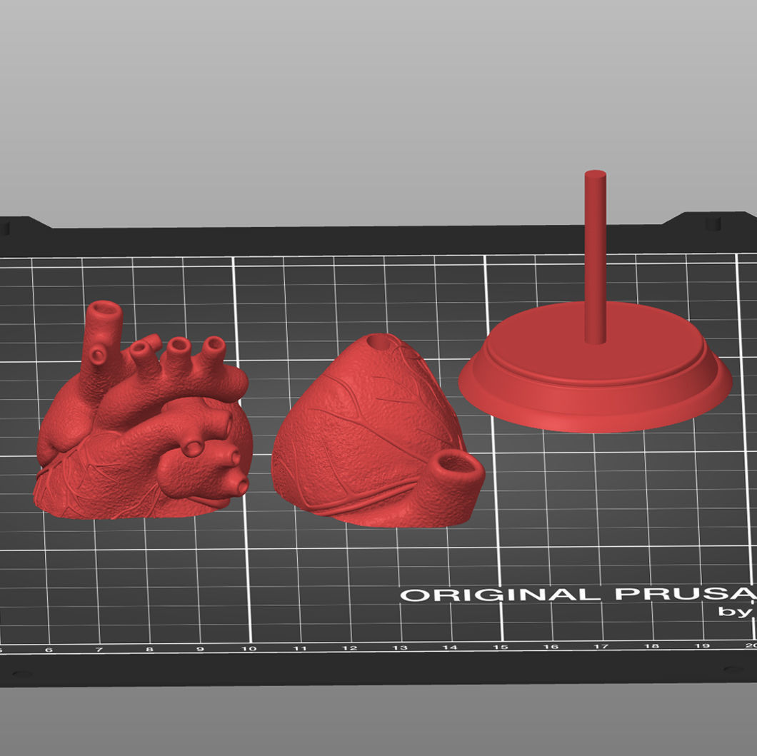 Anatomical Human Heart - For Commercial Use 3D model 3D printable ...
