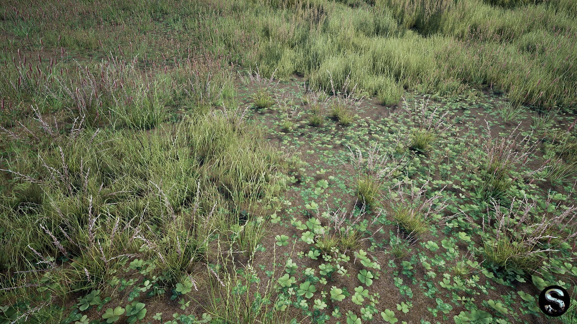 3D model Grass Pack VR / AR / low-poly | CGTrader