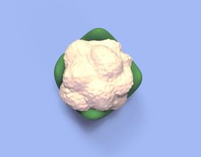 Cauliflower 3D Printing Models | CGTrader
