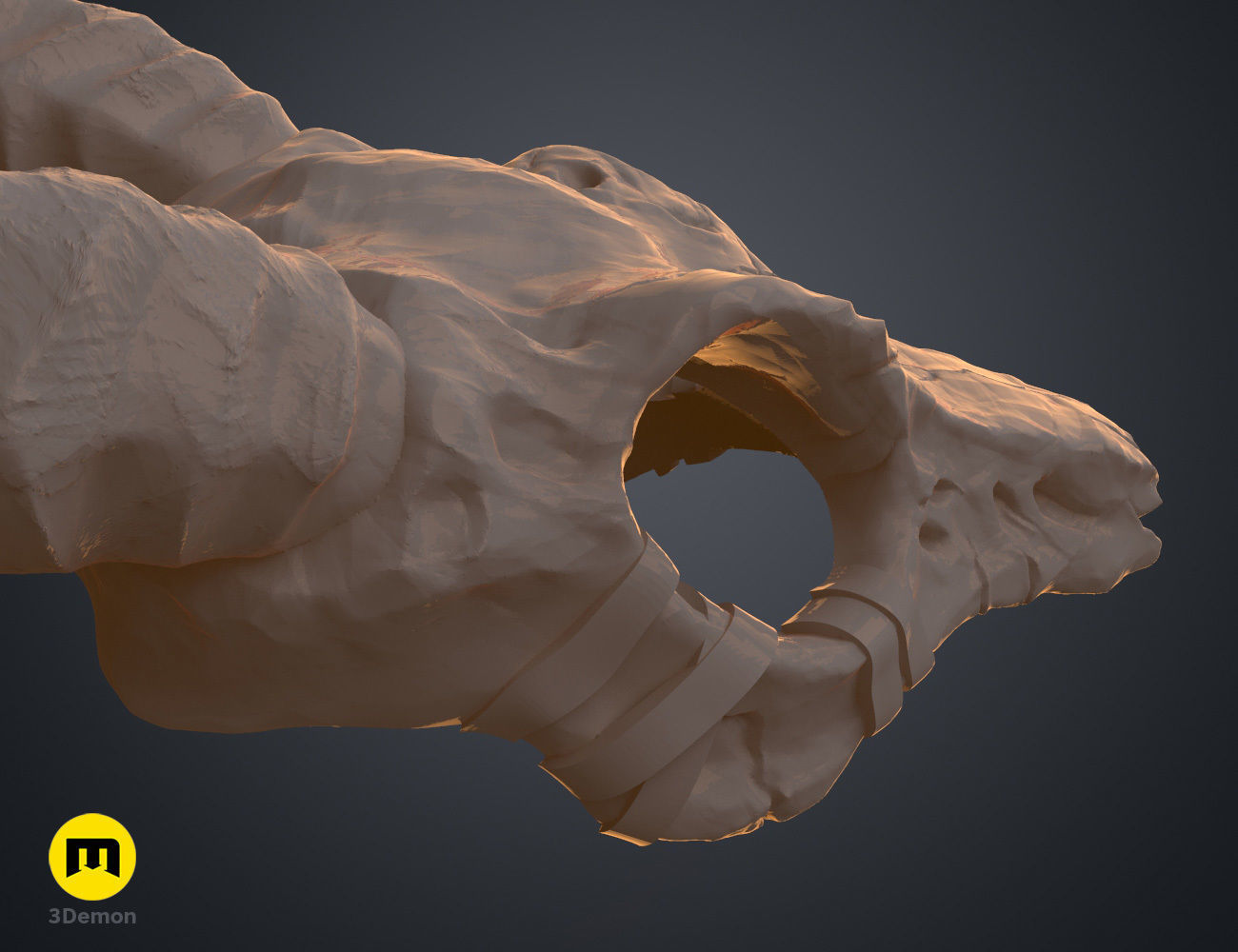 Shaman Skull with Horns 3D model 3D printable | CGTrader