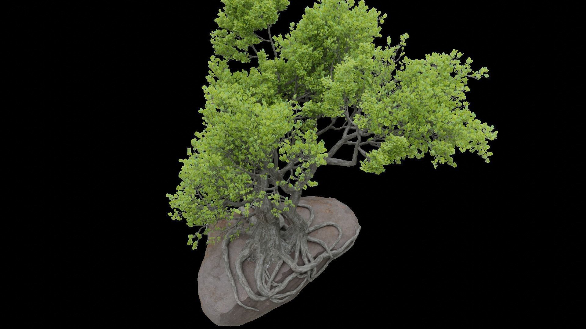 Stylized tree model 3D model | CGTrader