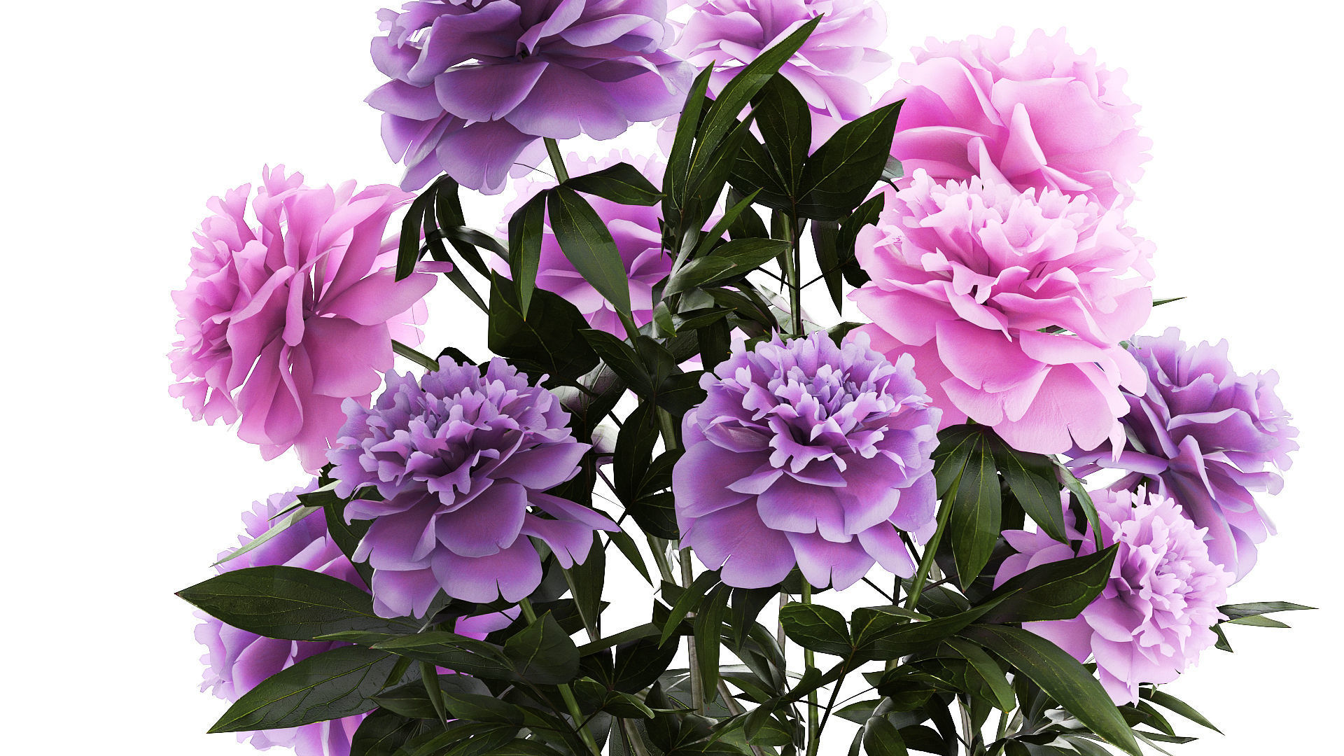 Set of beautiful plants and flowers in flowerpots 1308 3D model | CGTrader