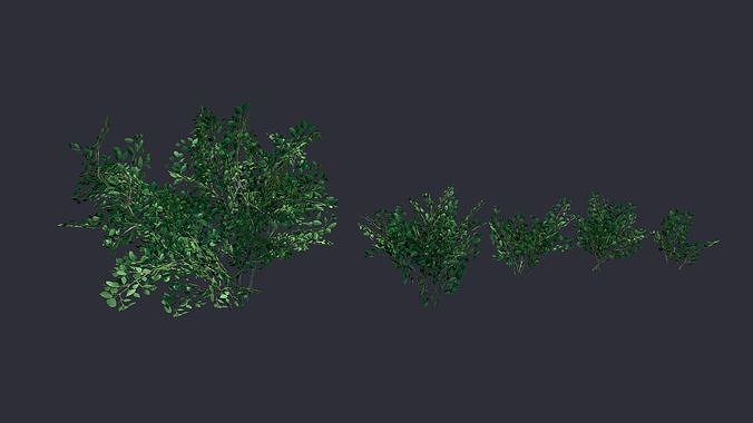 3D model Bushes VR / AR / low-poly | CGTrader