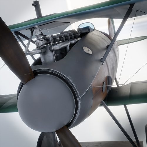 Albatros DV 3D model rigged | CGTrader