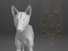 Wolf Animation VFX Grace 3D model animated rigged | CGTrader