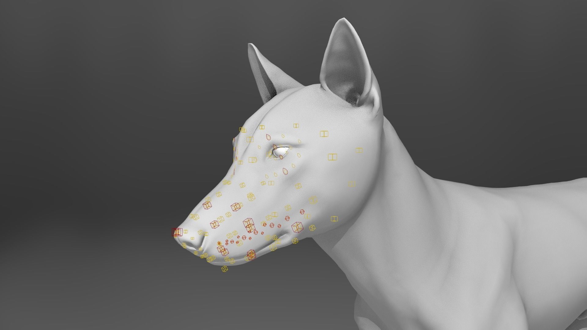 Wolf Animation VFX Grace 3D model animated rigged | CGTrader