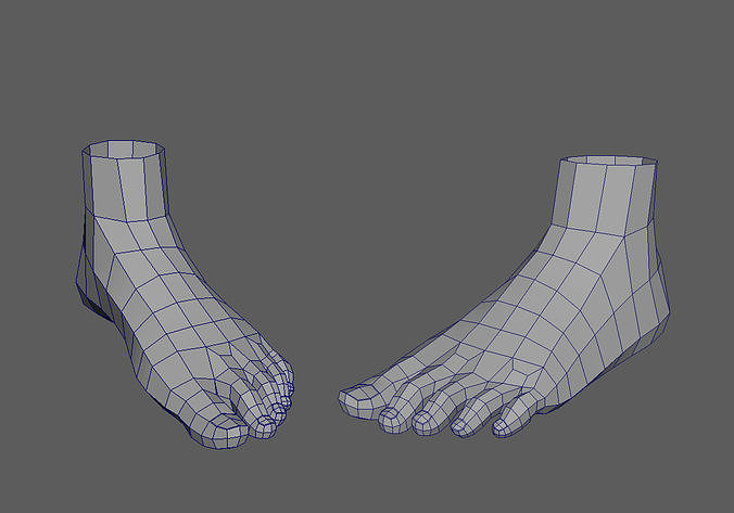 Foot Human free 3D model | CGTrader