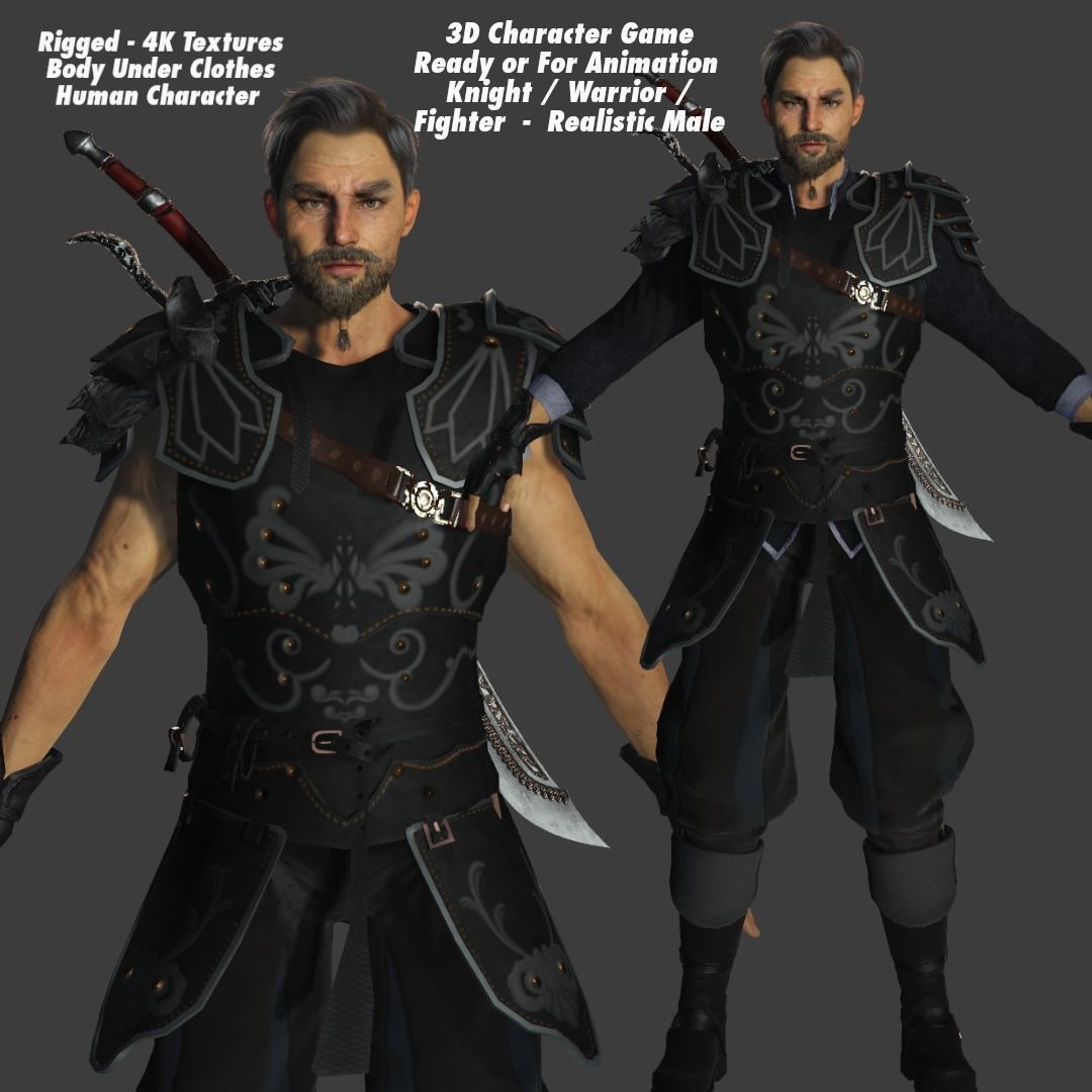 3D model AAA 3D OLD BEARDED MALE KNIGHT -REALISTIC RIG GAME CHARACTER ...