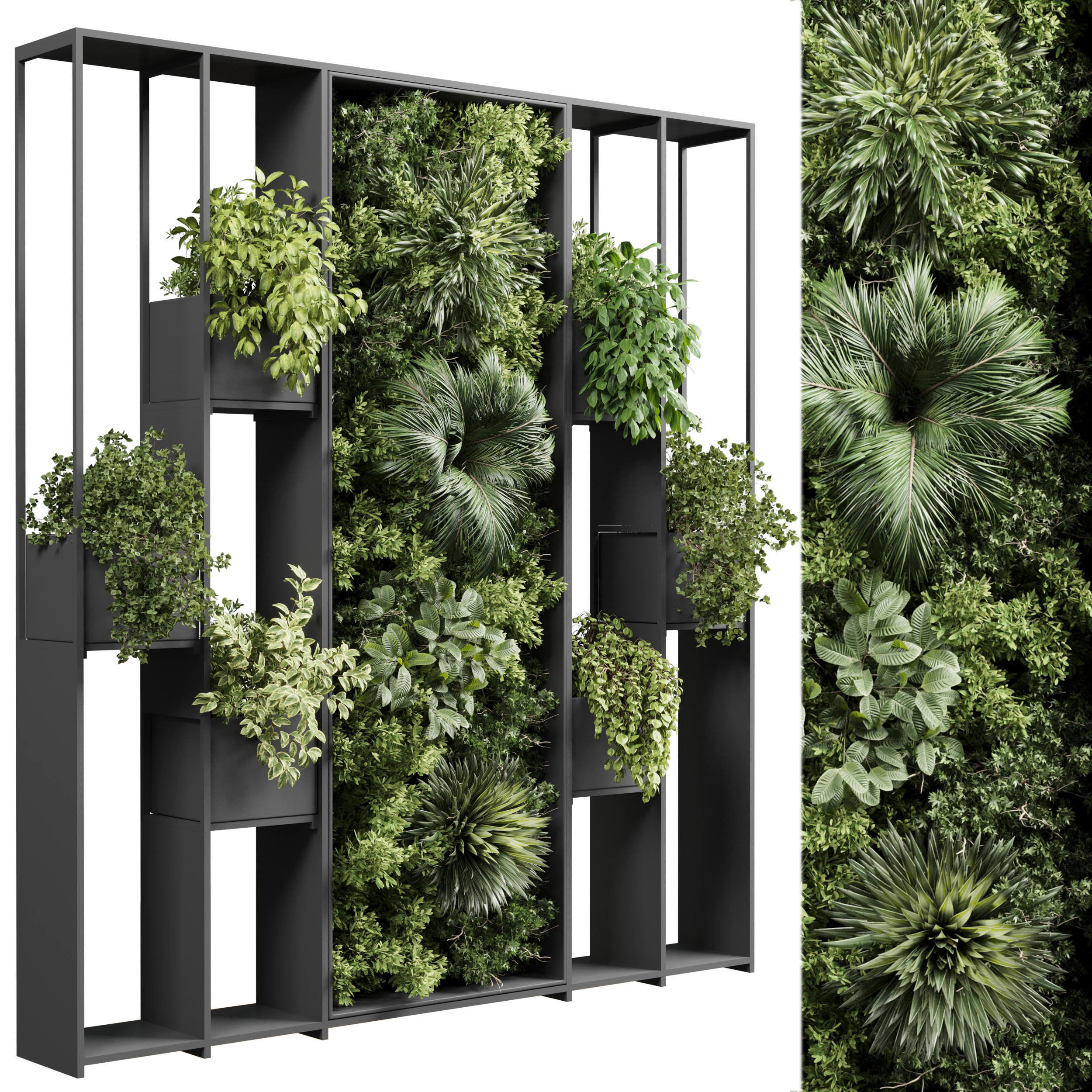 3D model plants set partition in metal Vertical graden wall decor box ...