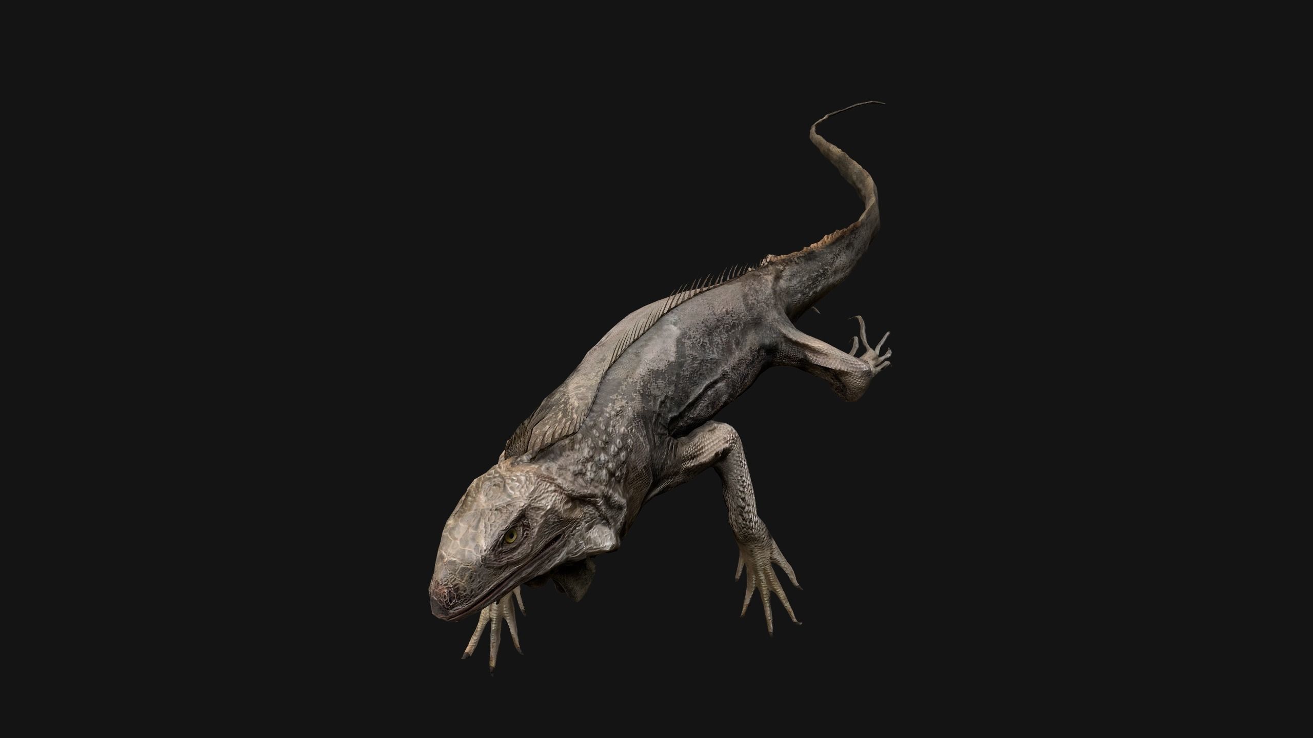 3D model Iguana Reptile Animated VR / AR / low-poly | CGTrader