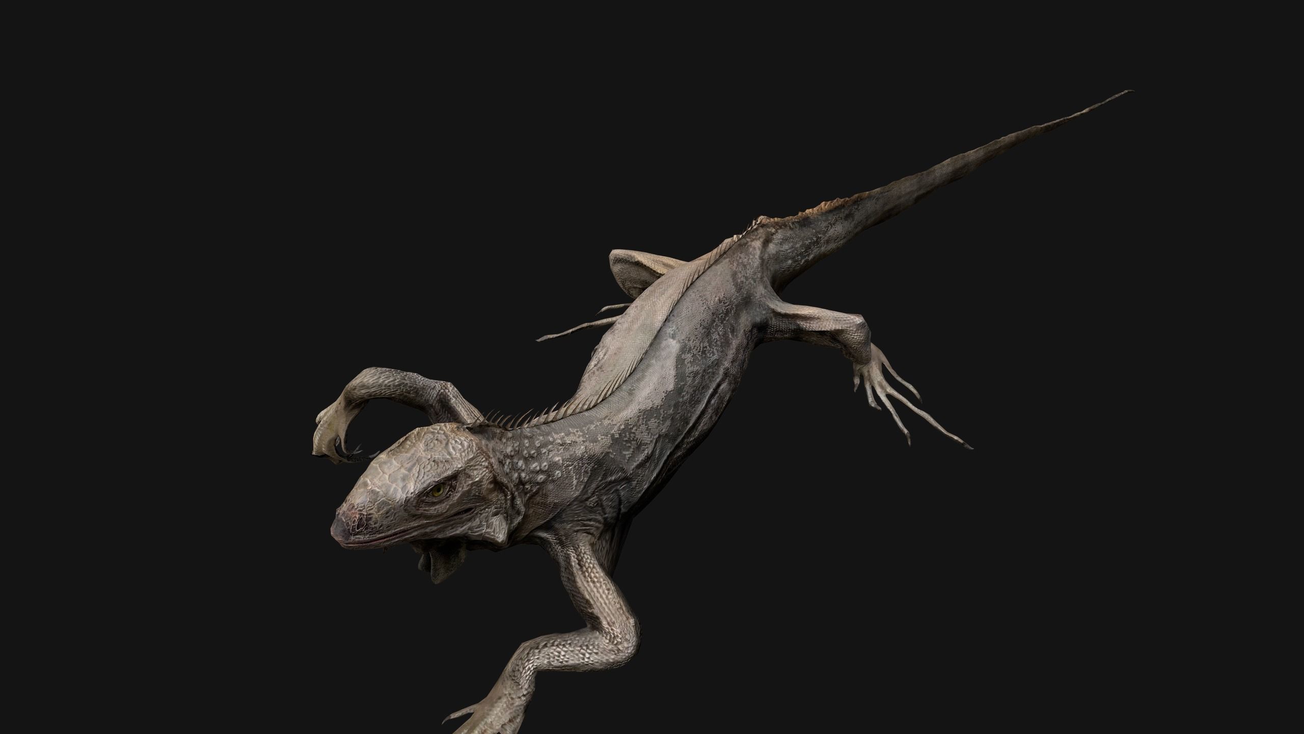 3D model Iguana Reptile Animated VR / AR / low-poly | CGTrader
