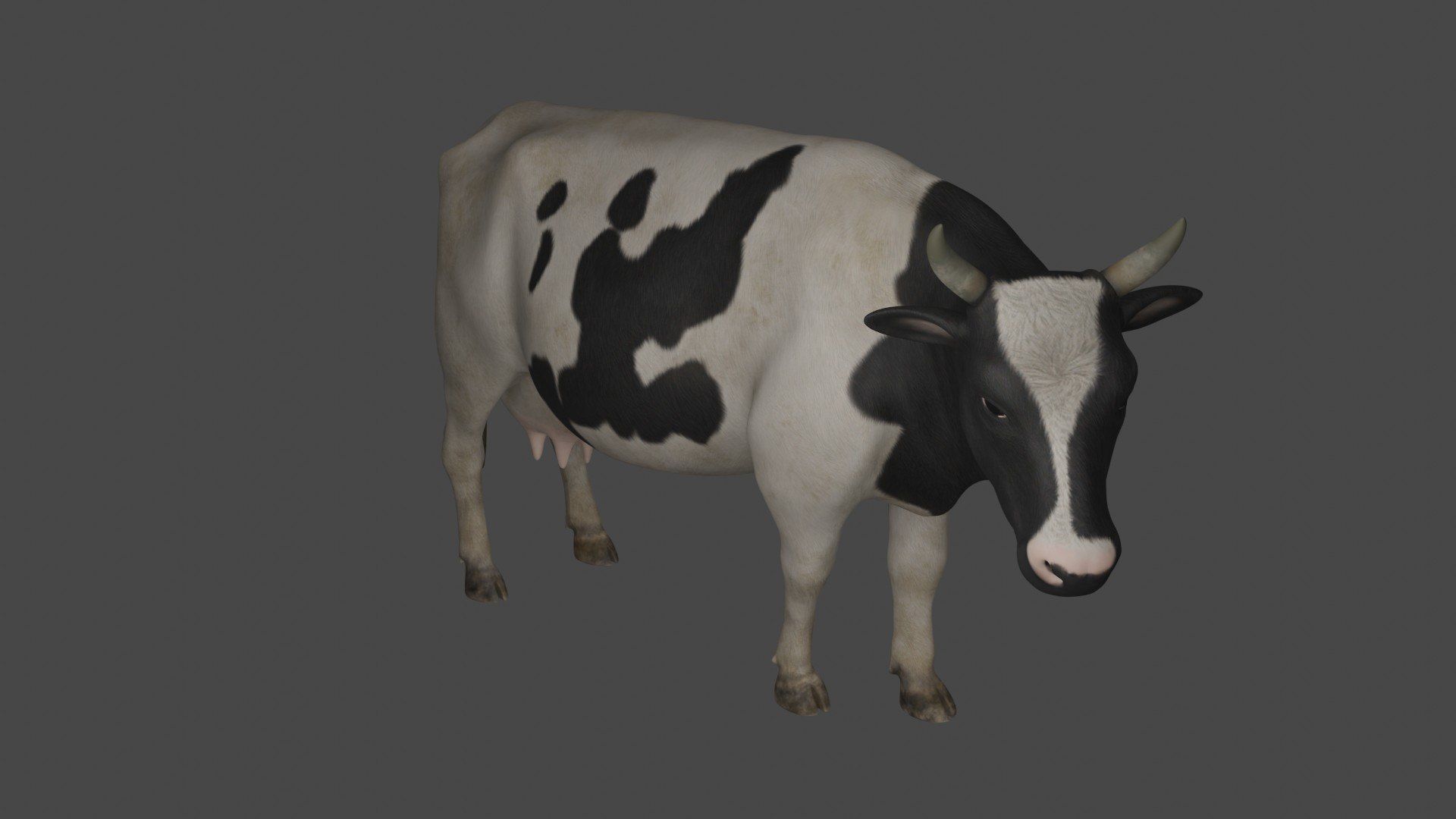 Dairy Cow 3D model | CGTrader