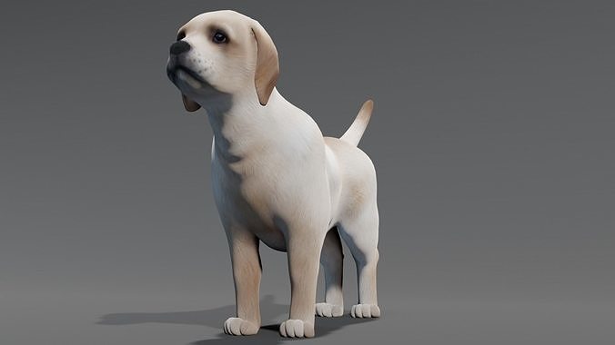 3D model Dog 3D model VR / AR / low-poly | CGTrader