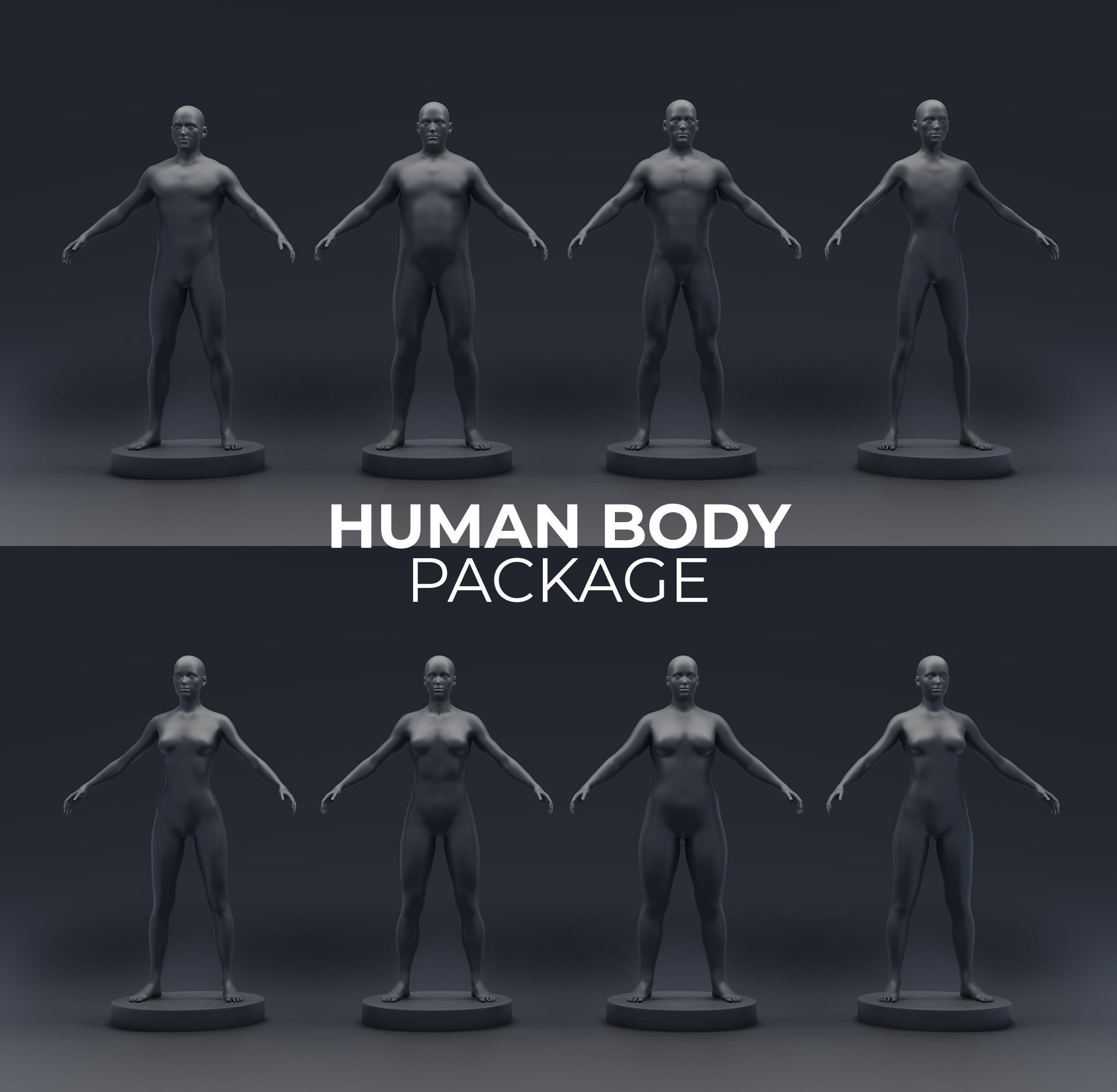 Human Body Pack Basic 3D Model 3D model | CGTrader