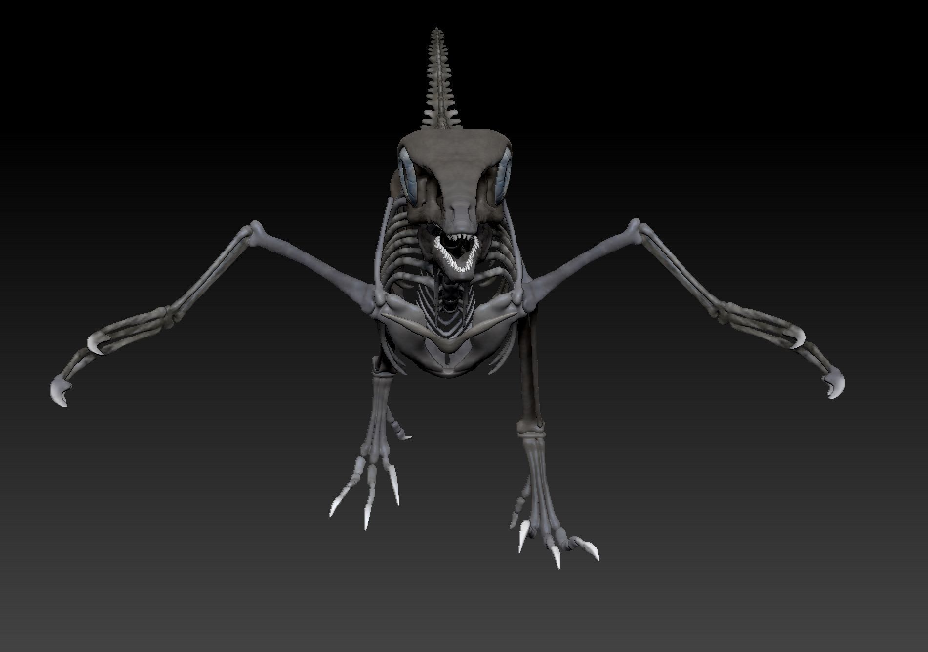 Archaeopteryx Skeleton - Full 3D archaeopteryx dinosaur bones 3D model ...