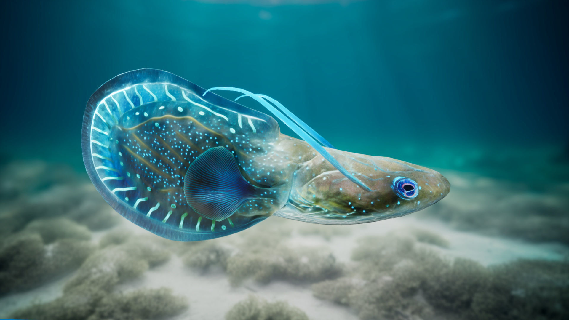 3D model Alien Fish - Scifi Fantasy Creatures - Unreal Engine Support ...