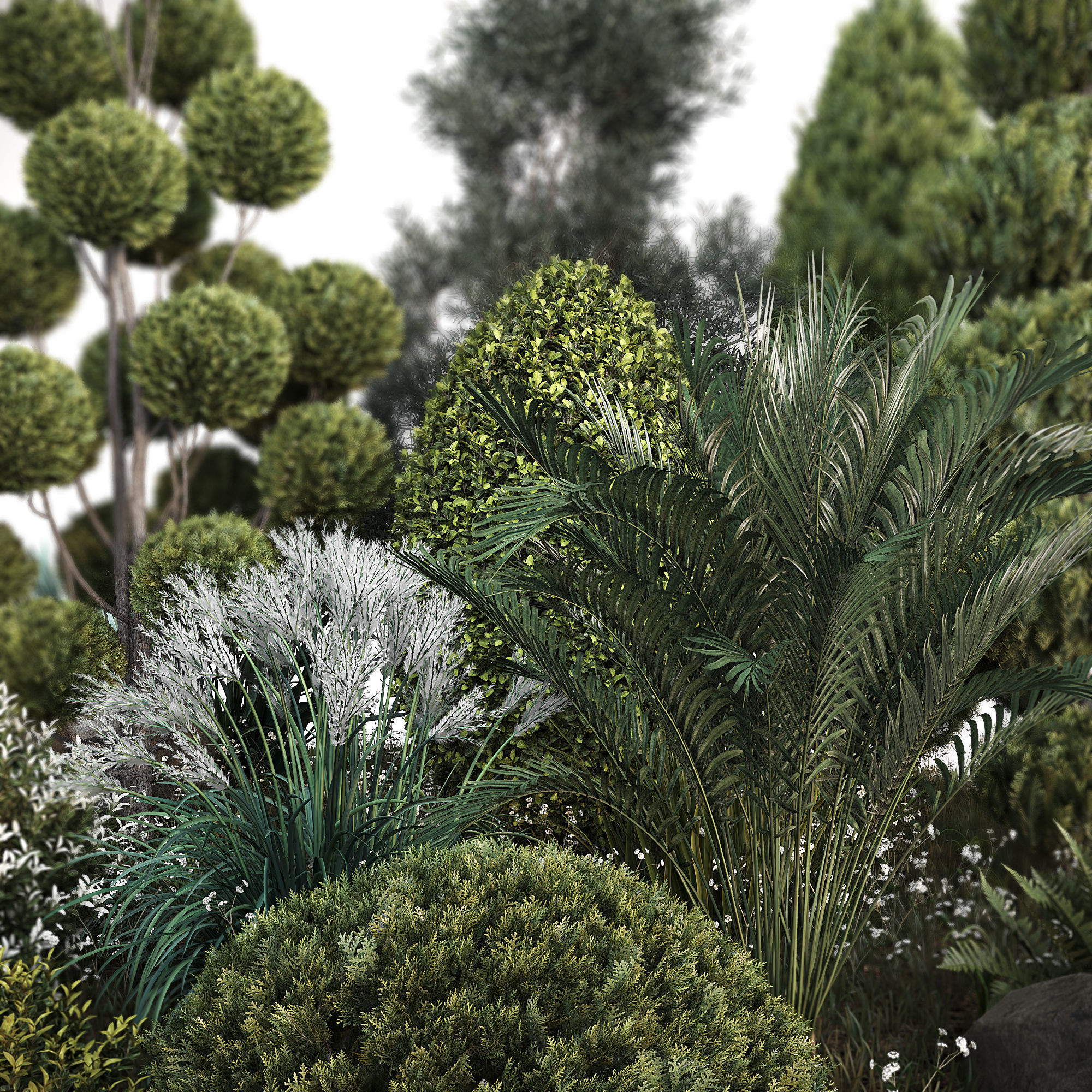 Group outdoor plants Hedges 2 3D model | CGTrader