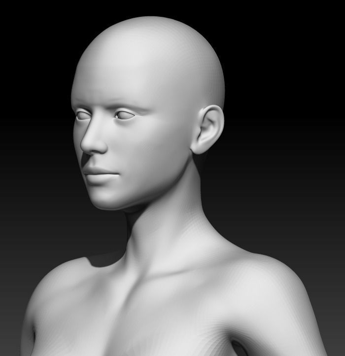 Female Base Mesh 11 3D model | CGTrader