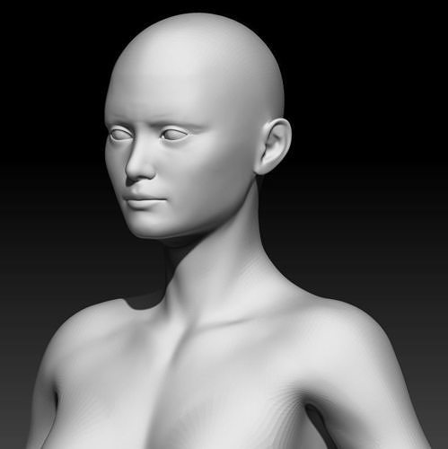 Female Base Mesh 24 3D model | CGTrader