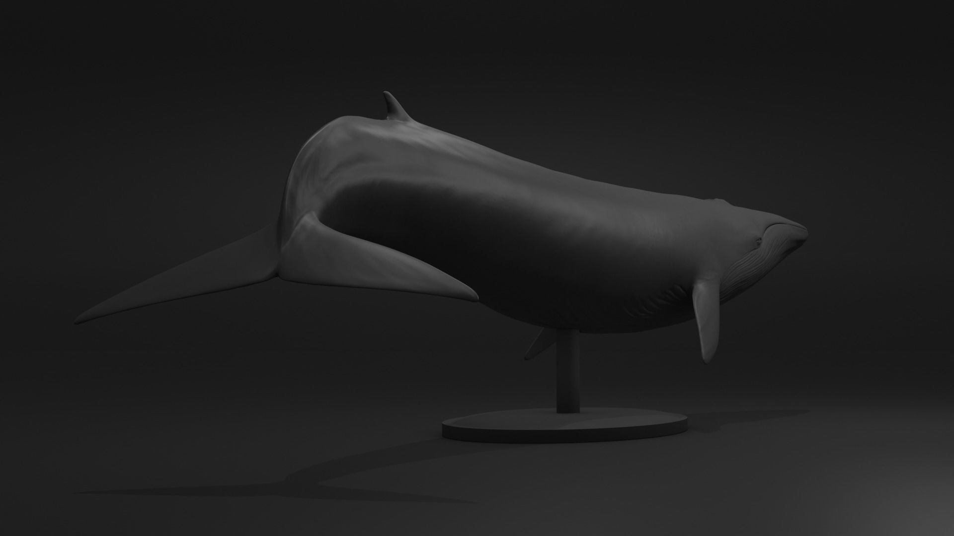 Realistic Whale 3D model 3D printable | CGTrader