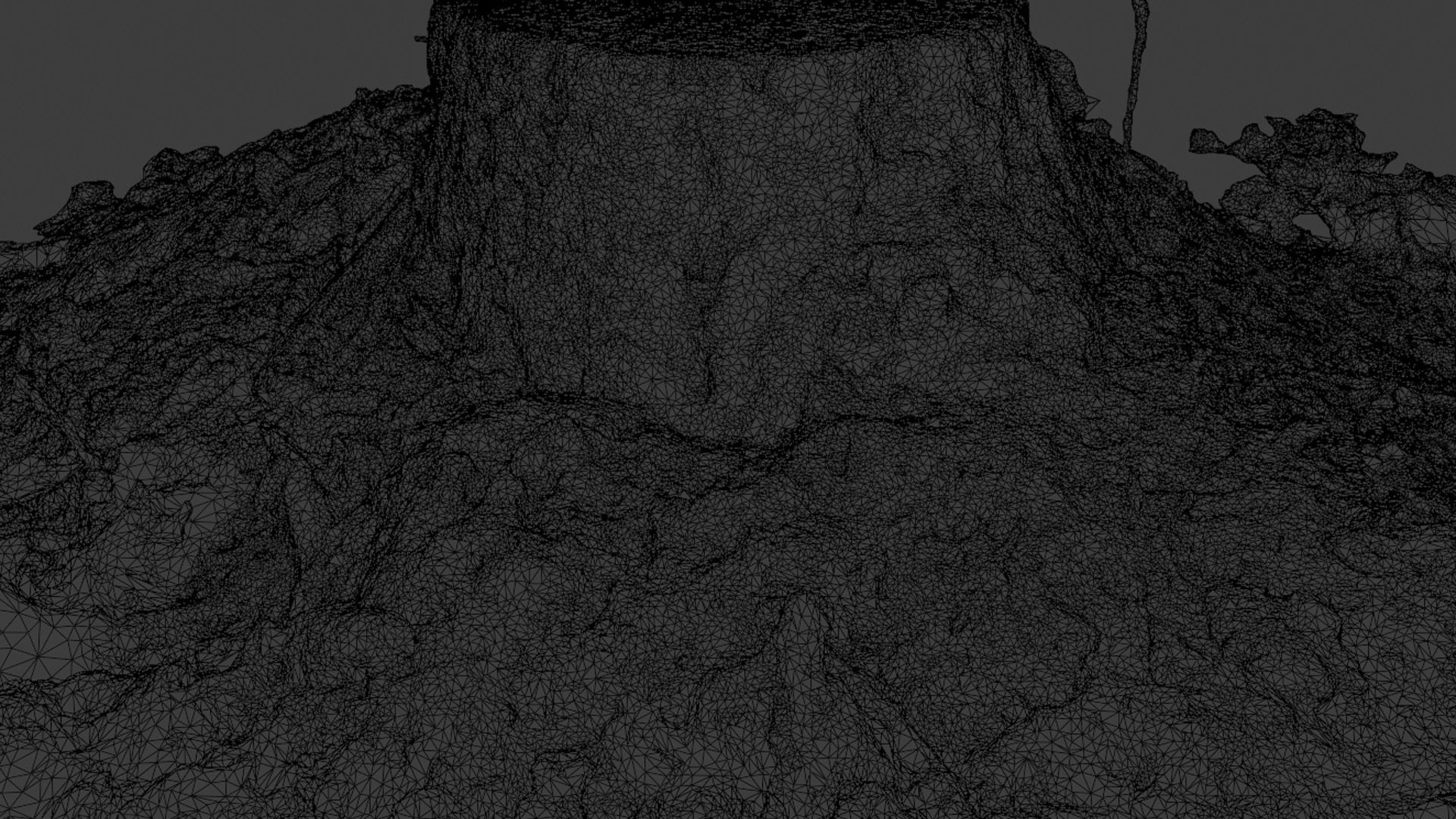 Realistic Trunk Photoscanned free 3D model | CGTrader