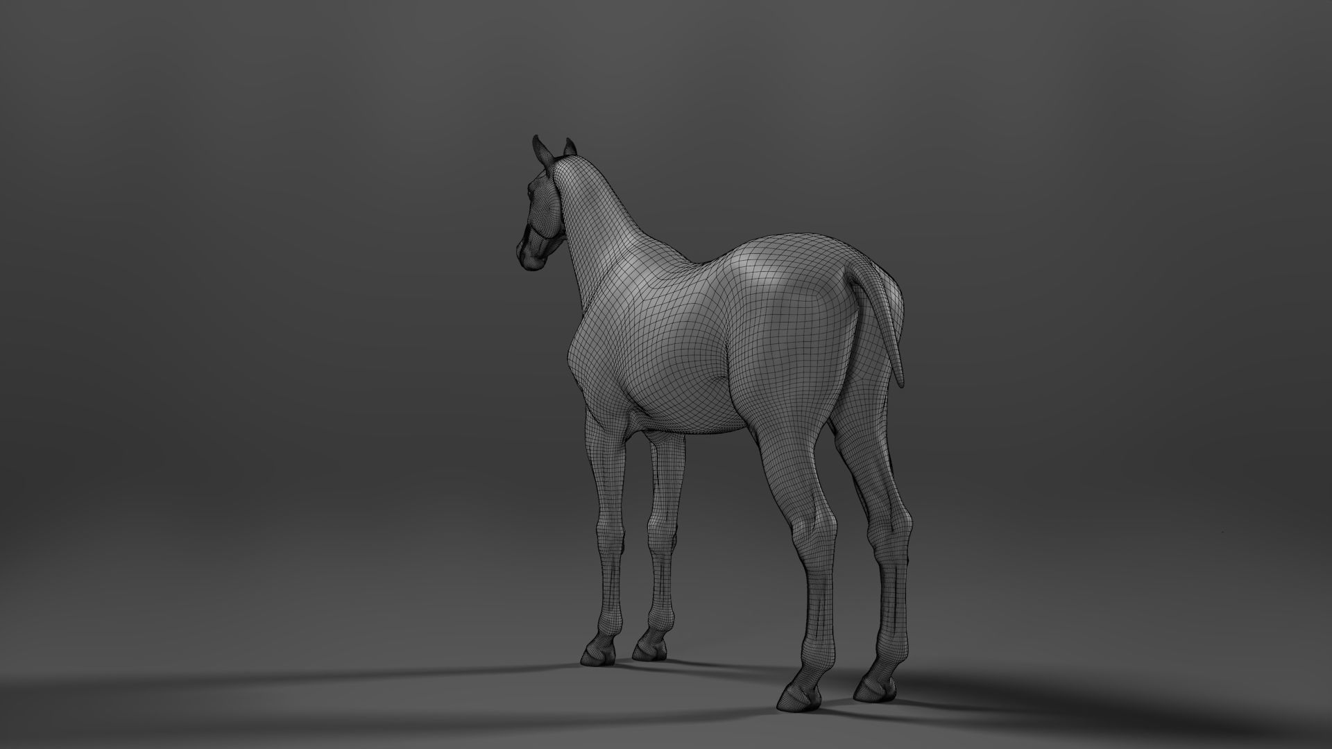 White Horse Animation VFX Grace 3D model animated rigged | CGTrader