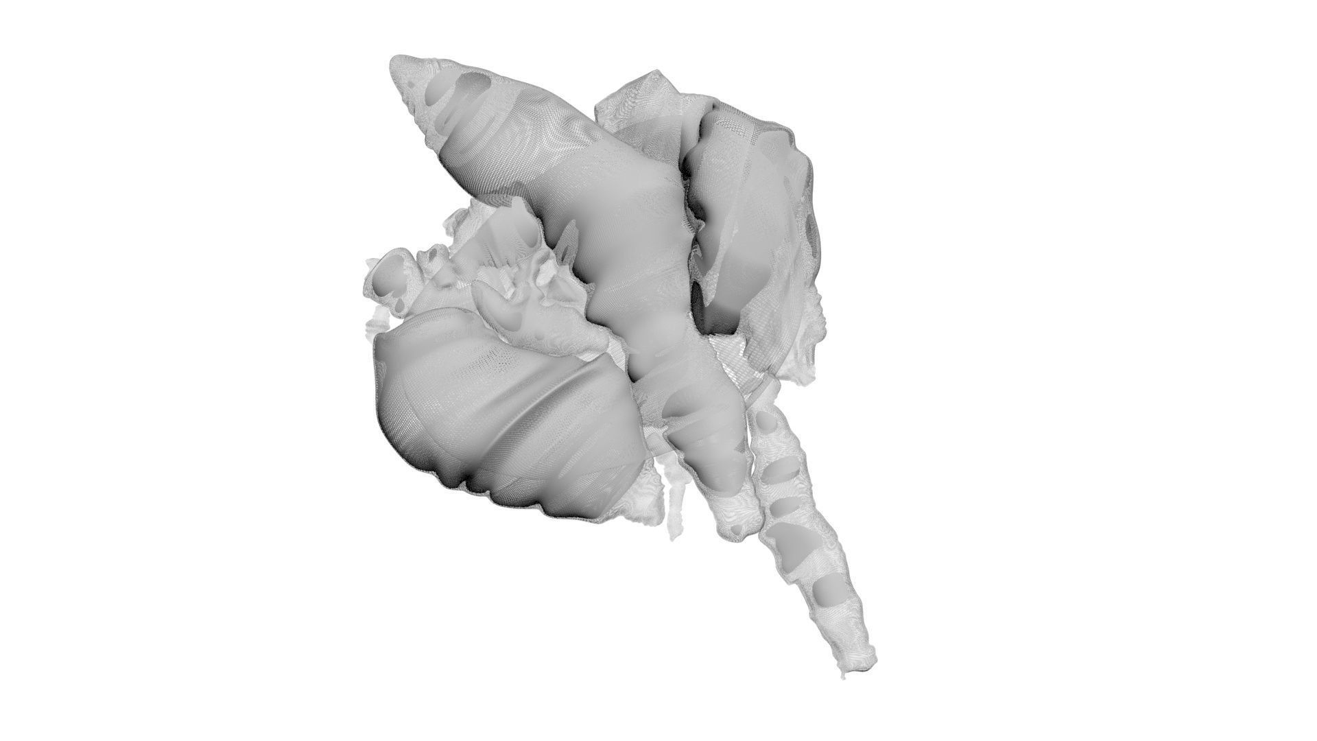 Chicken Lungs 3D model | CGTrader