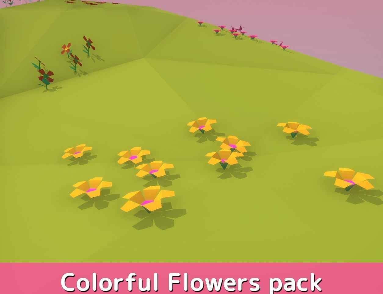 3D model Colorful Flowers Pack - Low Poly VR / AR / low-poly | CGTrader