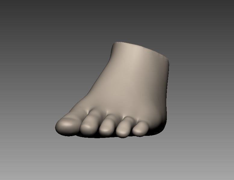 Foot feet 3D model 3D printable | CGTrader