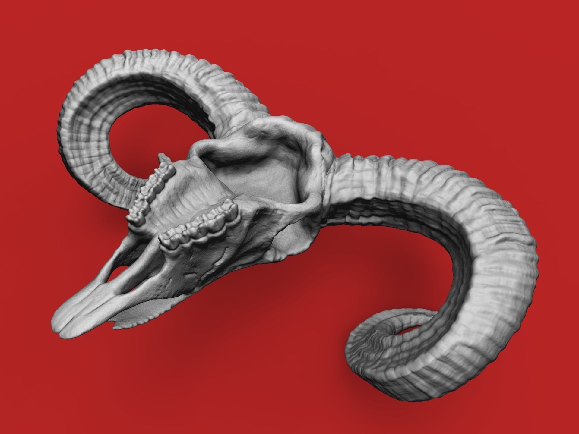 Ram Skull 3d Model 3d Printable Cgtrader