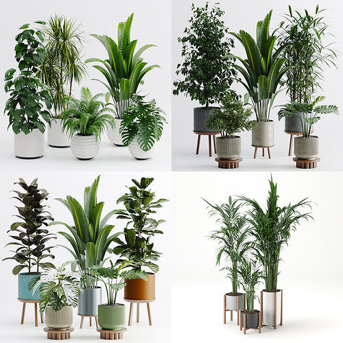 Plant sets collection | CGTrader